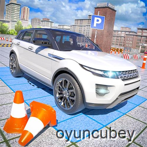 Drive Car Parking Simulation Game | Play Free Flash