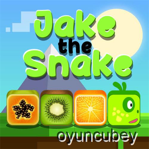 Jake the Snake Game | Play Free Platform Games
